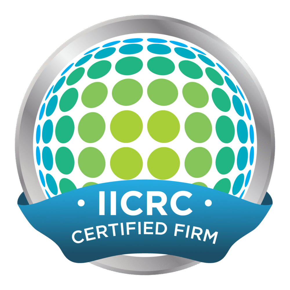 Charity Oversight vs. Fraud: Lessons from the Feeding Our Future Case ...